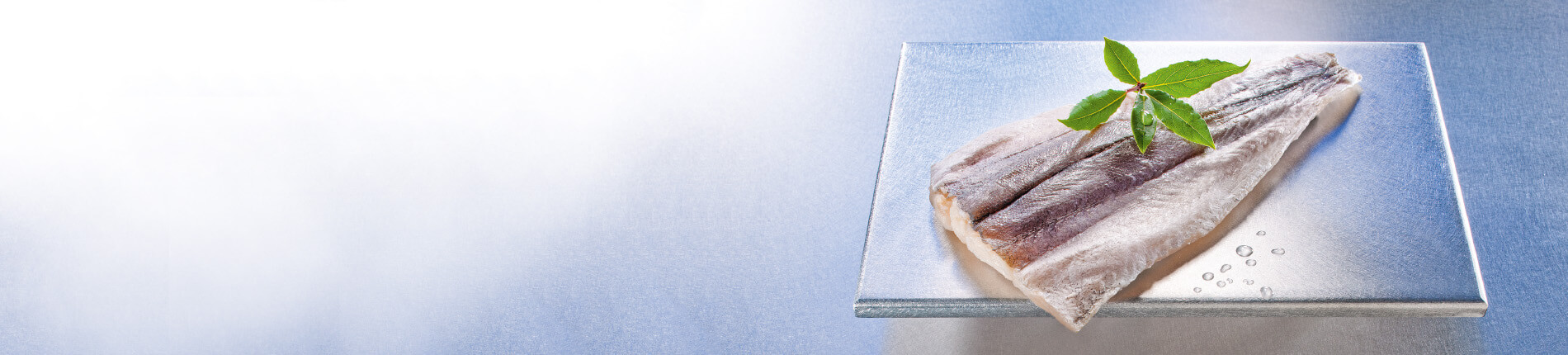 Cape hake – All-Fish