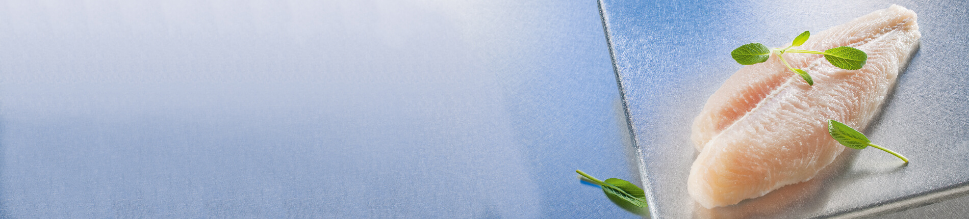 Pangasius – All-Fish