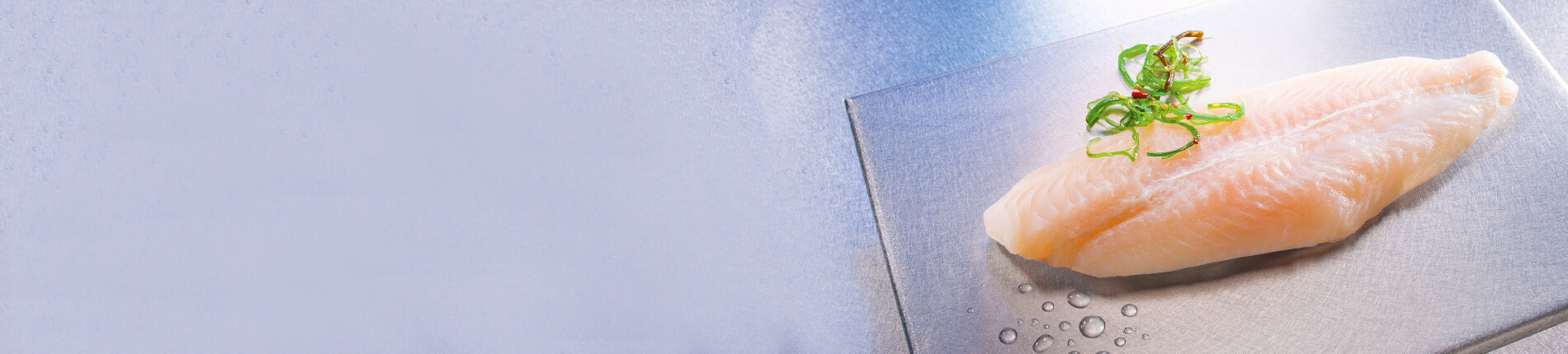 Pangasius – All-Fish