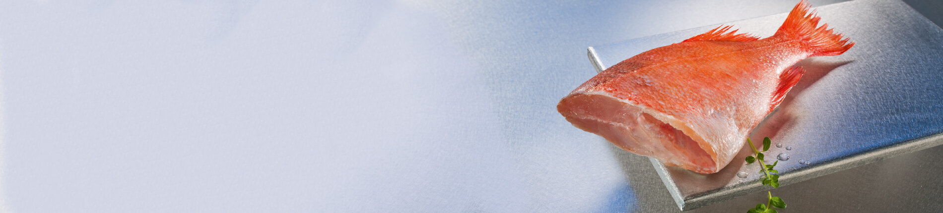 Redfish – All-Fish