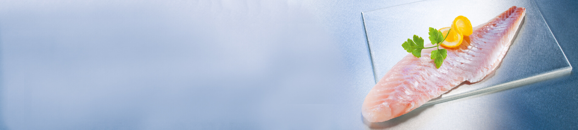 Redfish – All-Fish