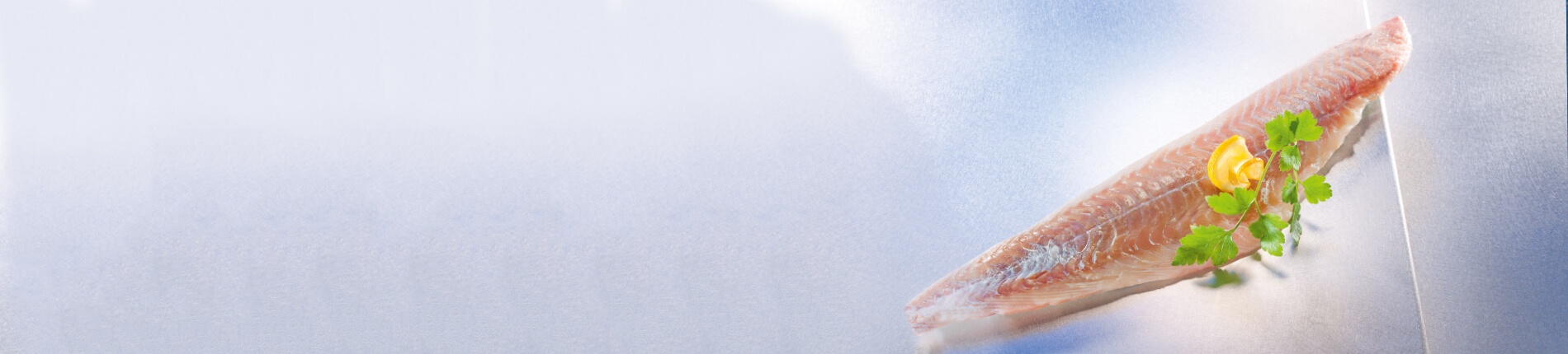 Seelachs – All-Fish