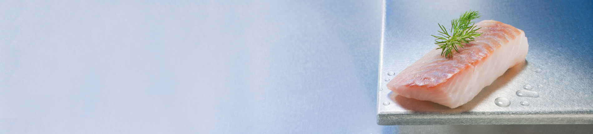 Seelachs – All-Fish