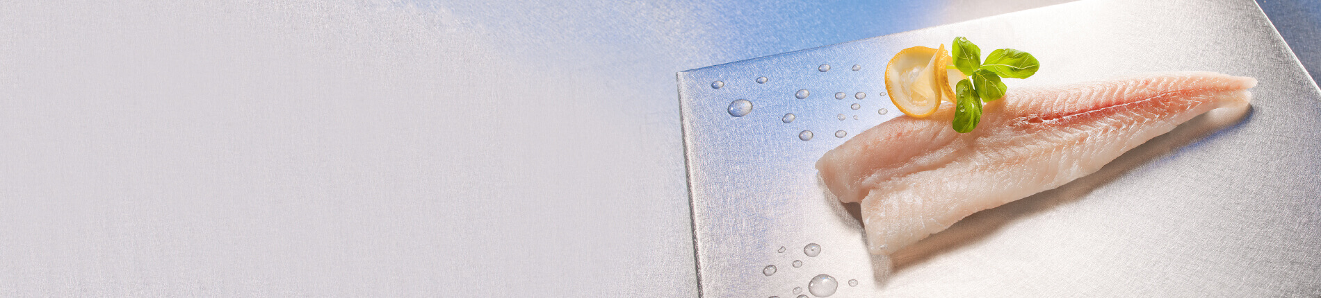 Alaska-Seelachs – All-Fish