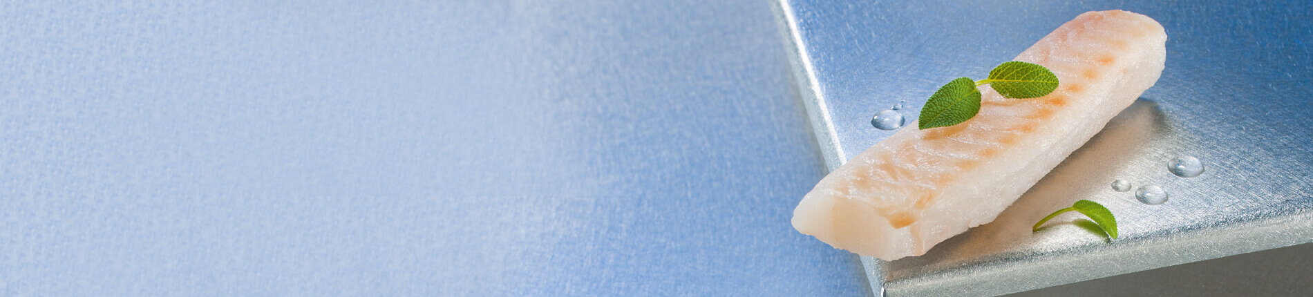 Alaska-Seelachs – All-Fish