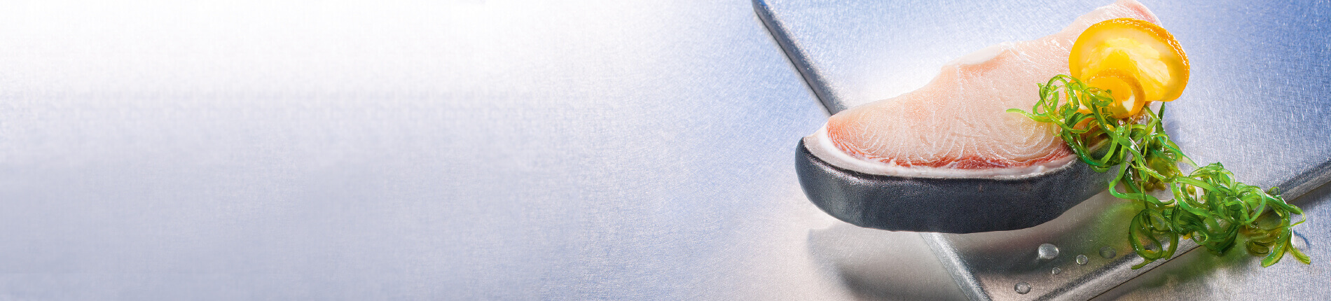 Blue Shark – All-Fish